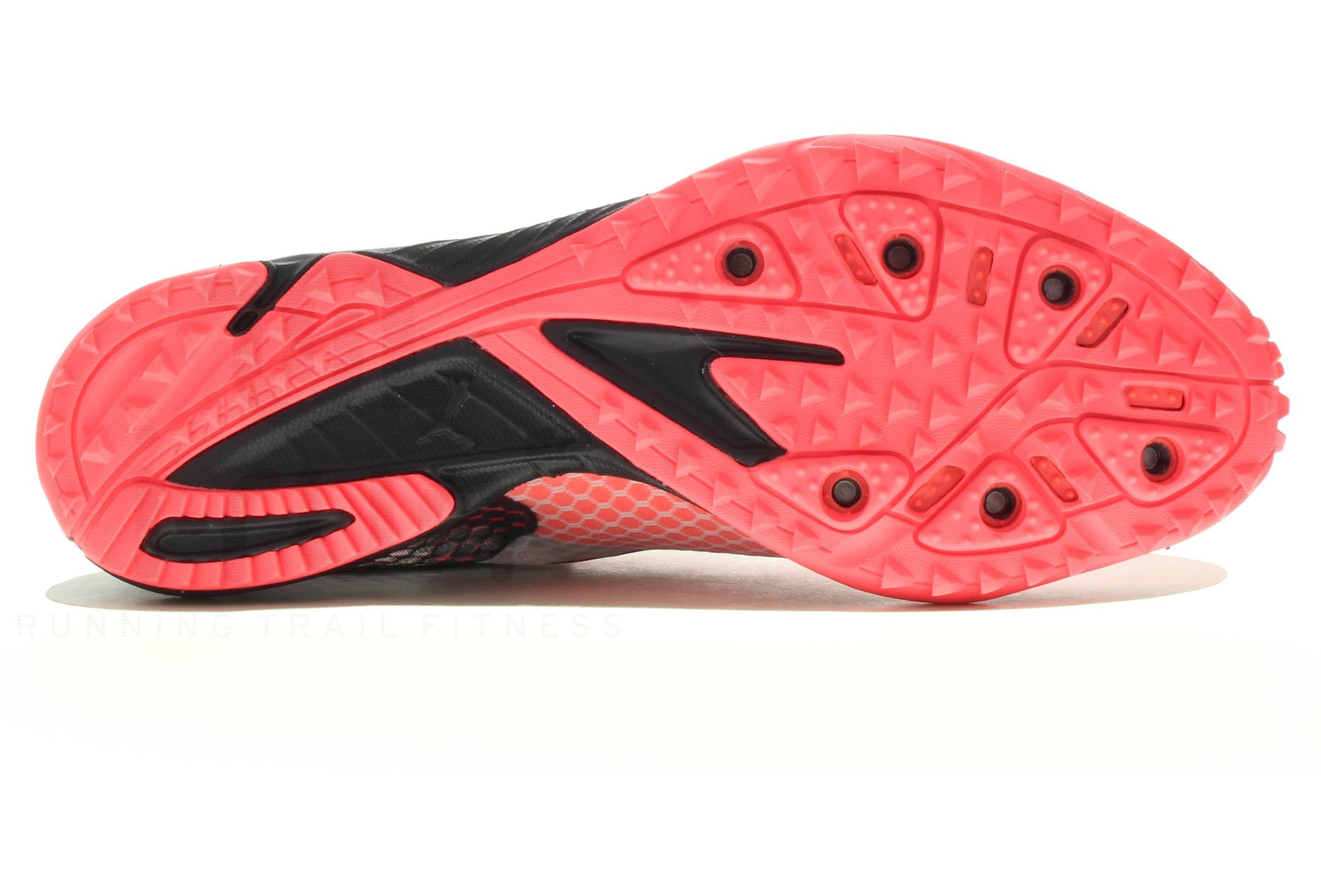 Puma EvoSpeed Haraka 6 en promoción | Mujer Zapatillas Atletismo Puma