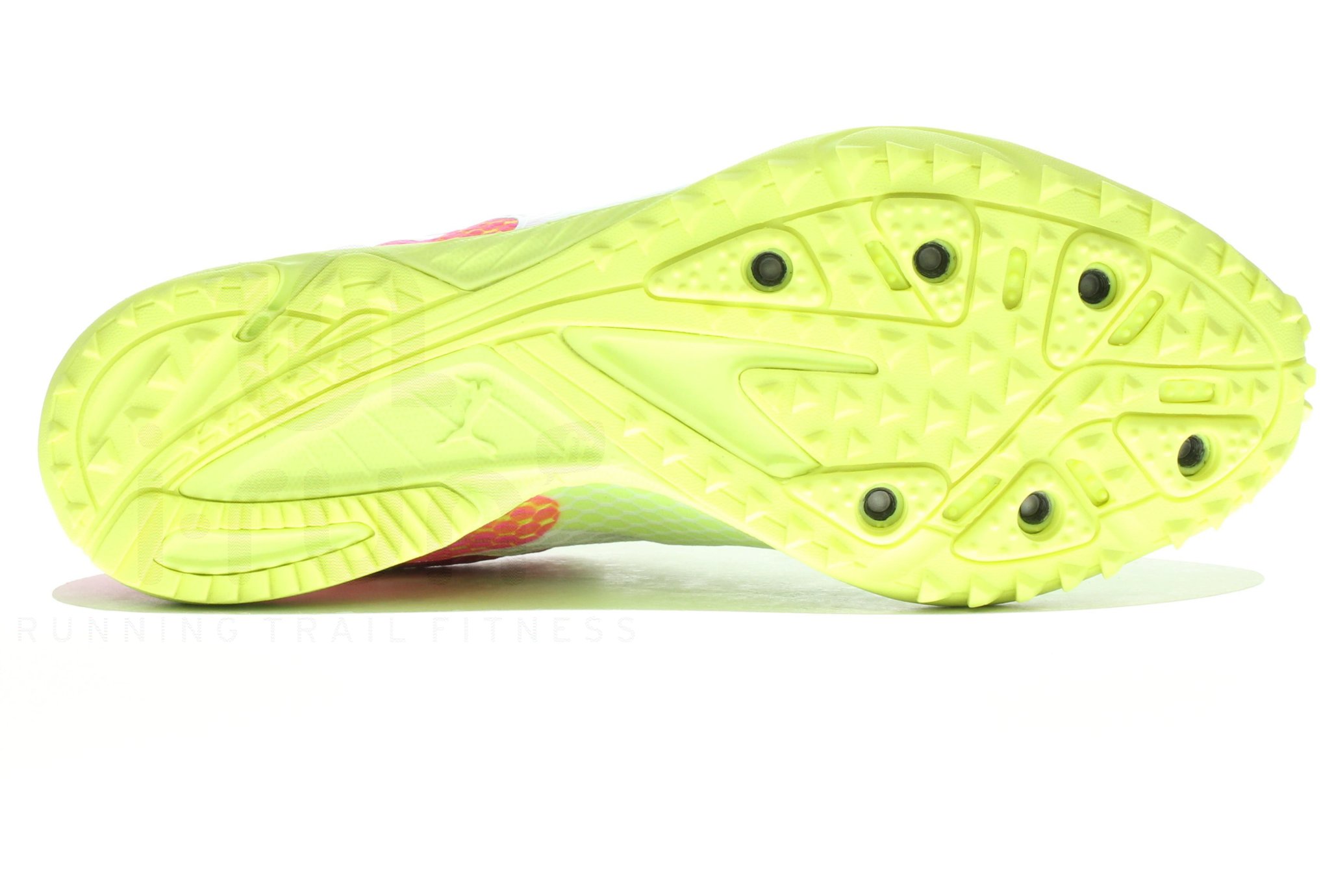 Puma EvoSpeed Haraka 6 Damen im Angebot | Damen Schuhe Leichtathletik Puma